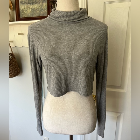 Tops | Turtlenecks Crop Top | Poshmark